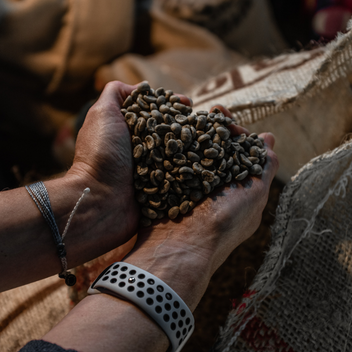 The Roasted Record | Stuart, Florida Coffee Roaster + Shop – The ...